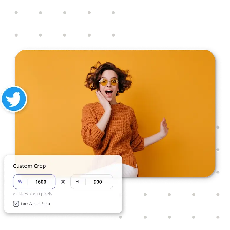 Free Online Twitter Image Cropper | LightX